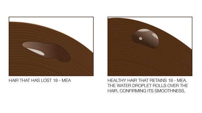 Your 18-MEA Cuticle Layer: Once It's Gone, There's No Turning Back